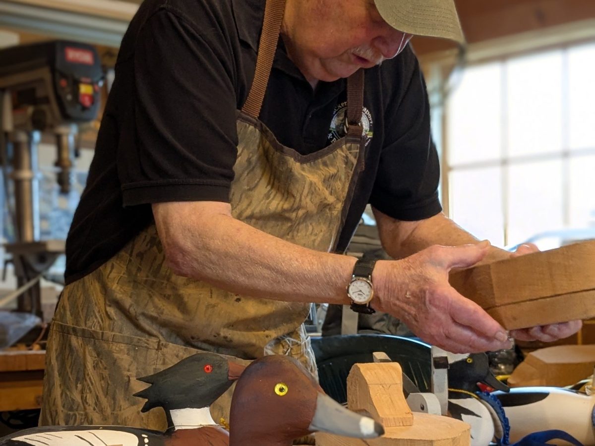 Winter Activities in the Barnegat Bay Area - Barnegat Bay Partnership